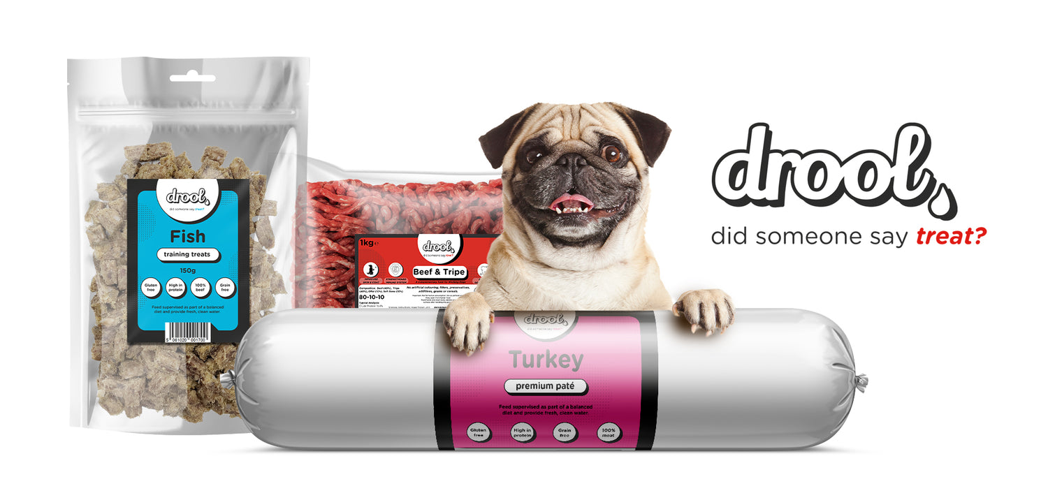 Pet specialist marketing agency Nobull got chatting with a brand that ...