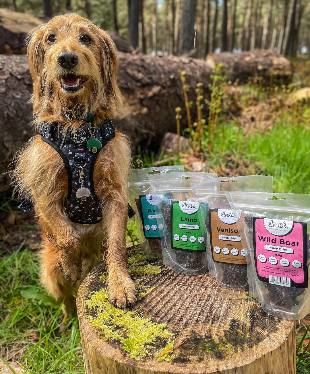 Drool Pet Products