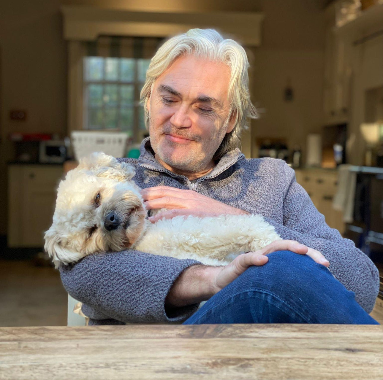 About Drool – Drool Pet Products